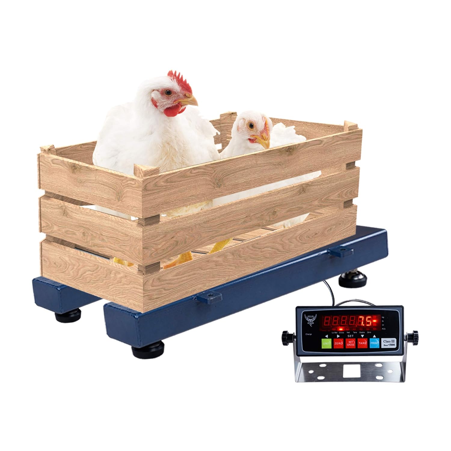Livestock Scale with Weigh Bars - 5,000 lb Capacity Qatar | Ubuy